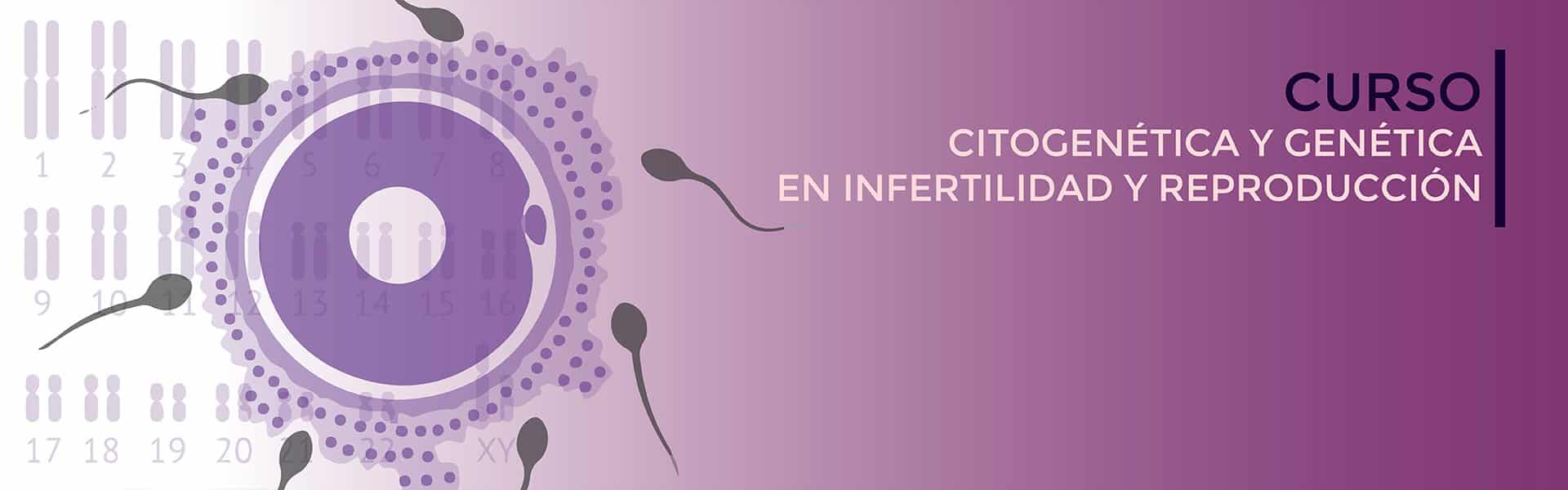 Curso: Citogenética y genética en infertilidad y reproducción – CROM ...